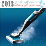 Bissell Steam Mop Review - Steamboost